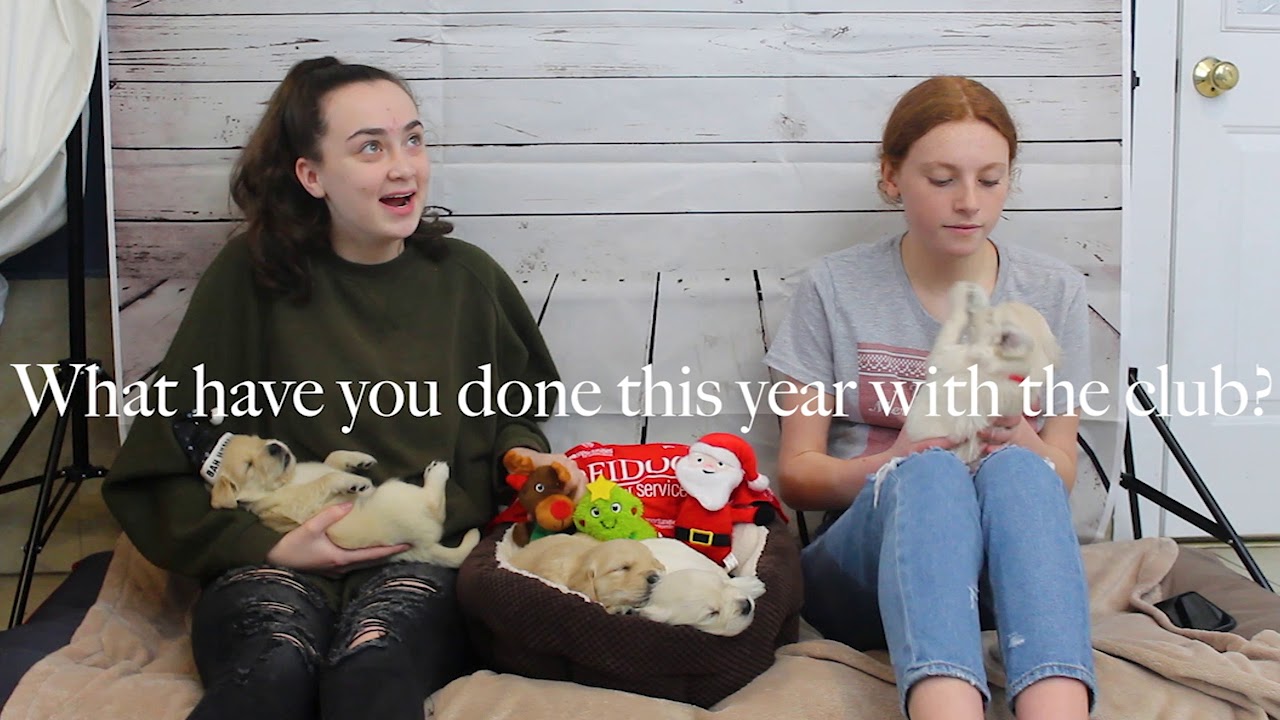 Feminism Club Answers Questions with GOFI Dogs - YouTube