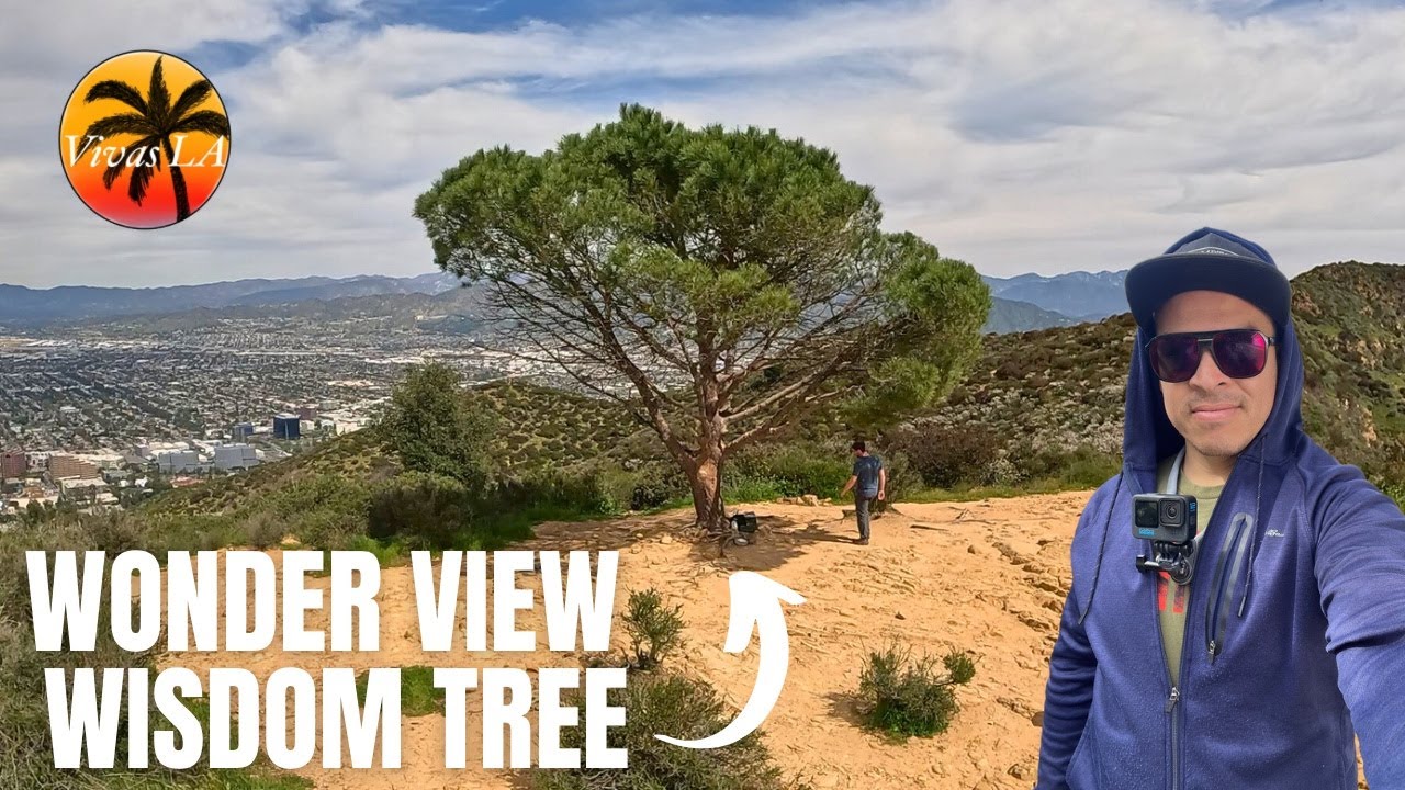 Los Angeles - Wonder View 2 Wisdom Tree - Vivas LA - YouTube