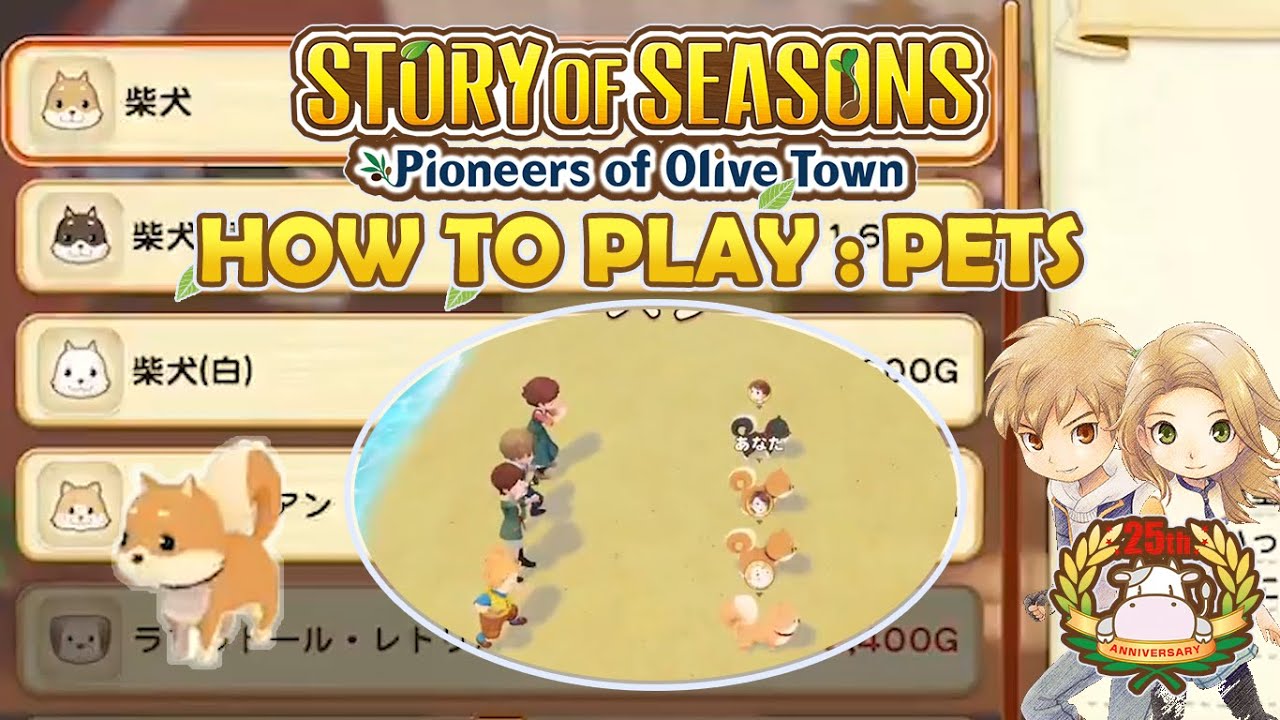 How To Play : PETS | Story Of Seasons Pioneer of Olive Town - YouTube