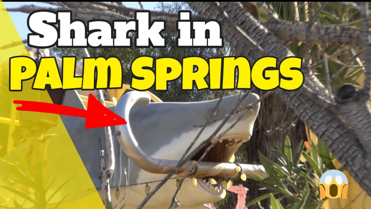 RoboLights RoboChristmas Palm Springs Roadside Attraction in Town - YouTube