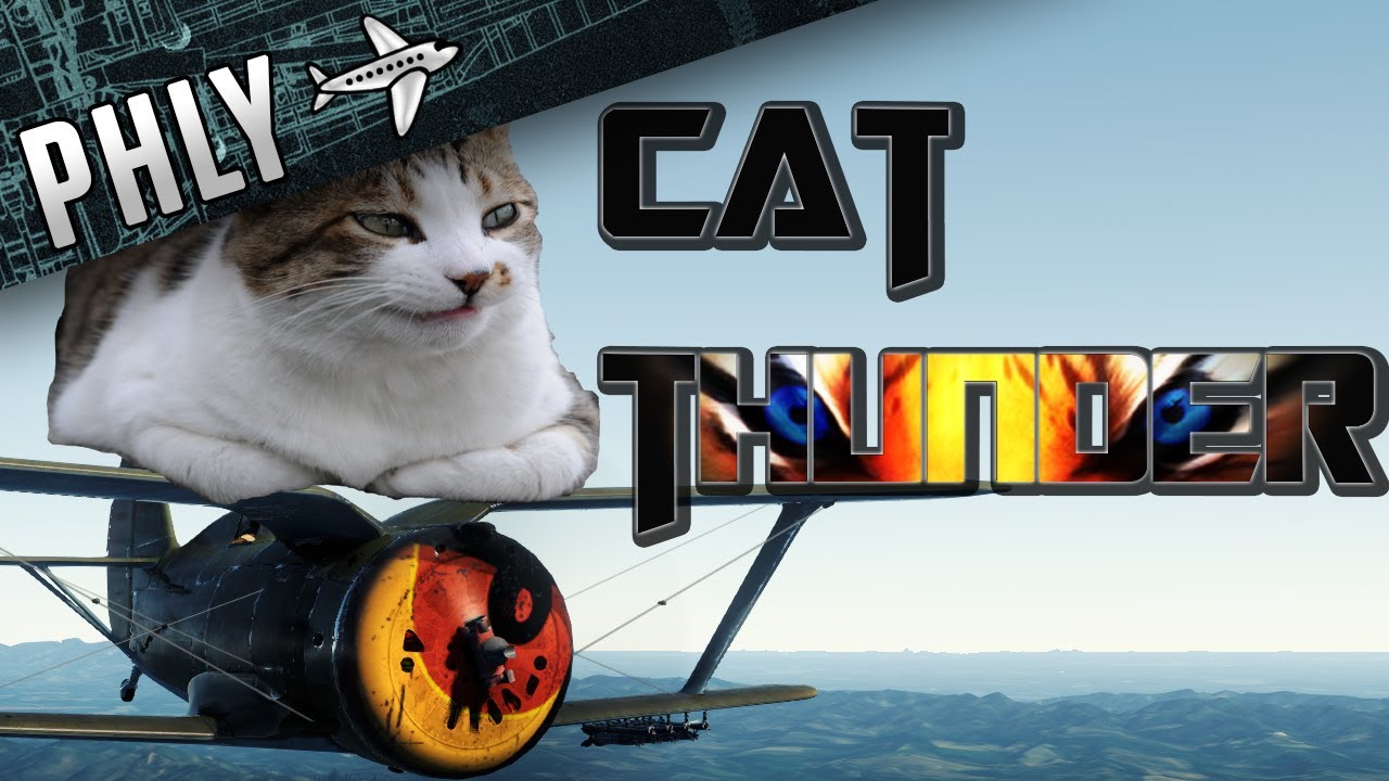 War Thunder- My Cat Plays War Thunder - YouTube