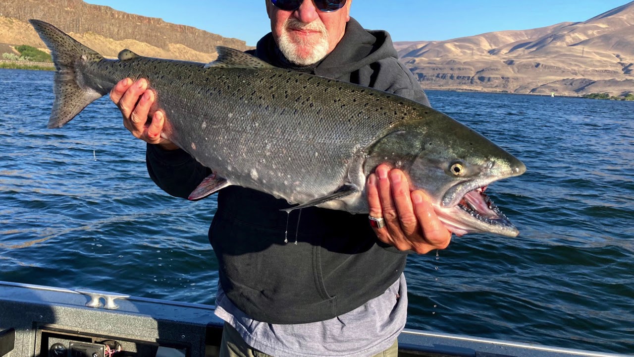 Fall Chinook 2020 - YouTube