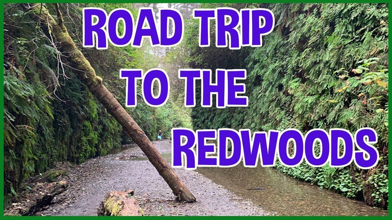 Road Trip To The Redwoods: A Journey Down the 101 and The North ...