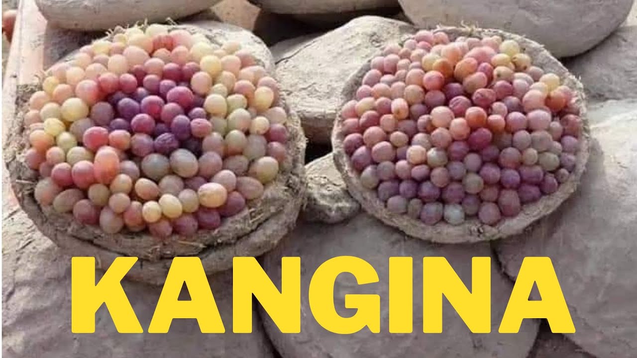 KANGINA, the cheapest method to preserv food, and OTHER interesting ...