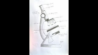 Draw a microscope diagram easy step | Doovi