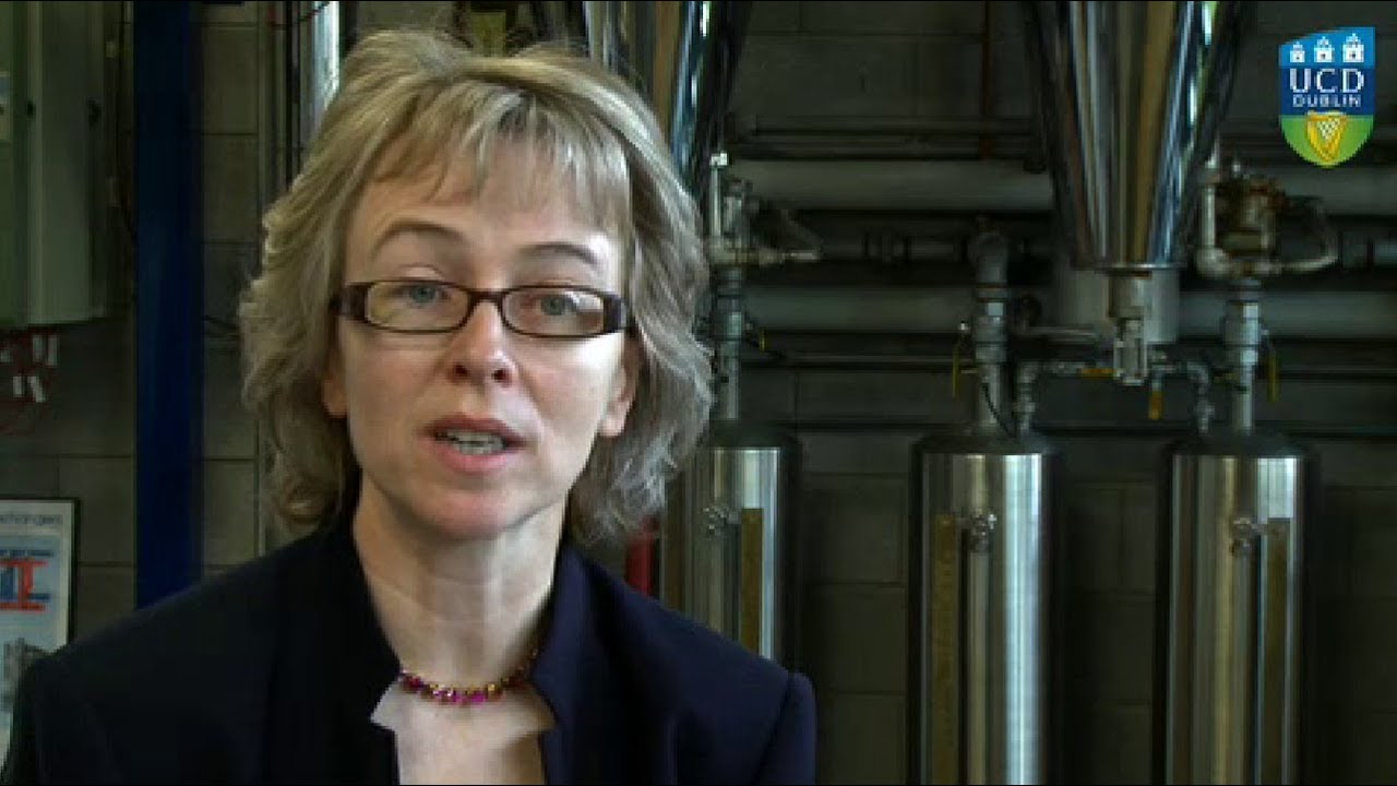 UCD Fellowships in Teaching and Academic Development: A Personal ...