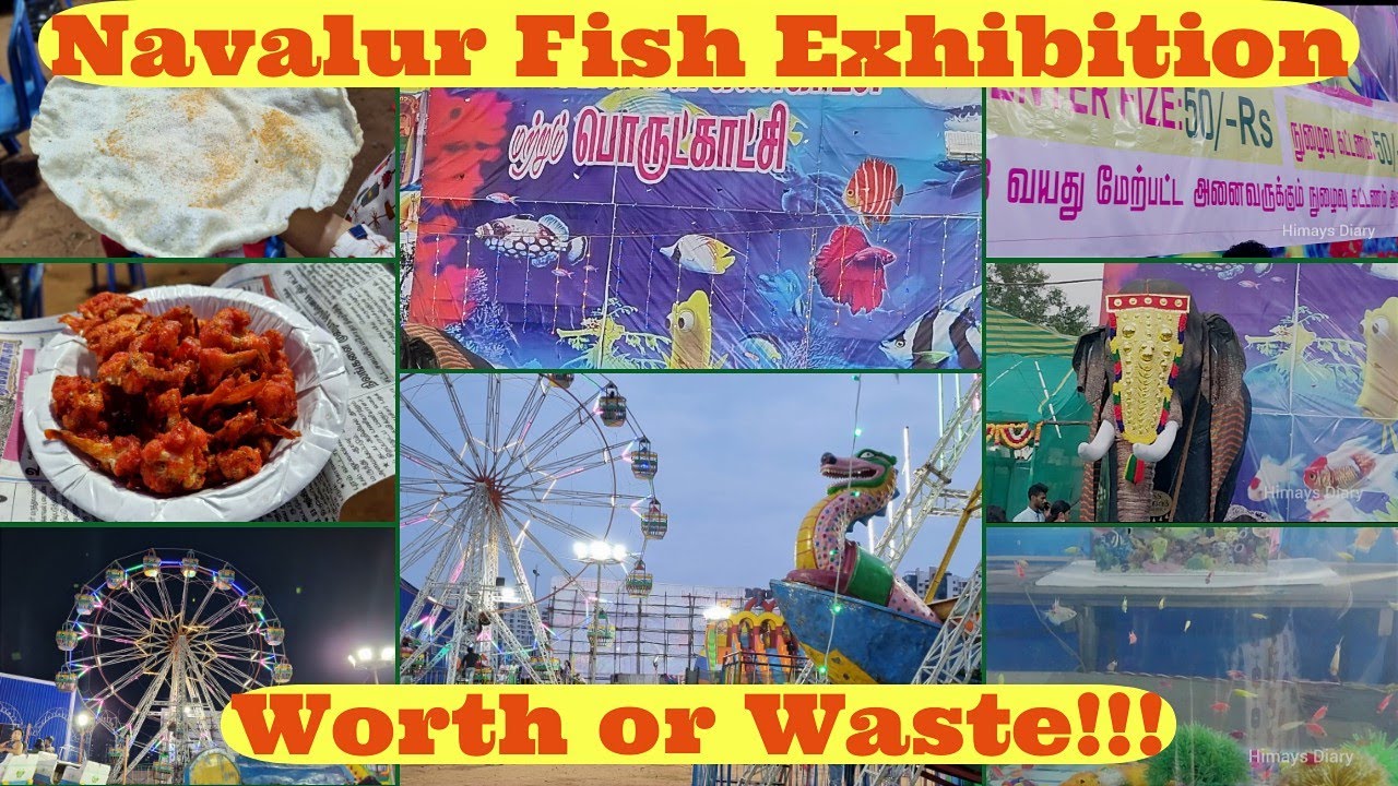 Fish exhibition at Navalur OMR | worth uh or waste uh | வண்ண மீன்கள் ...