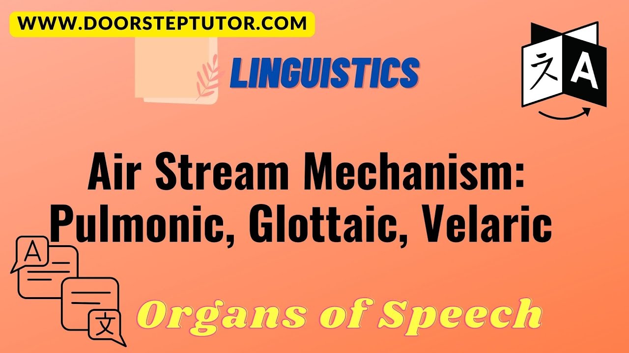 Air Stream Mechanism: Pulmonic, Glottaic, Velaric | Organs of Speech ...