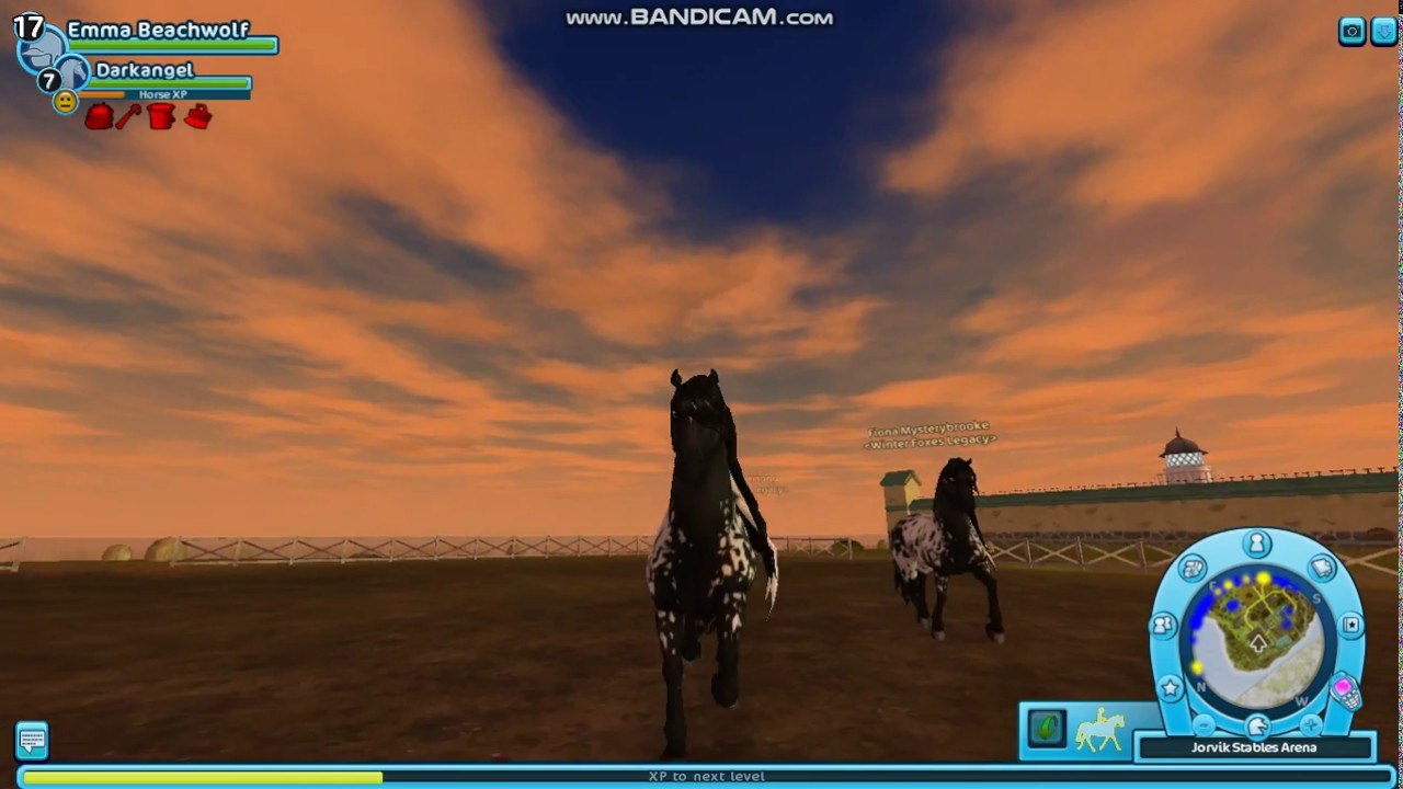 Dressage with the club!! Winter Foxes Legacy [Star stable online] - YouTube