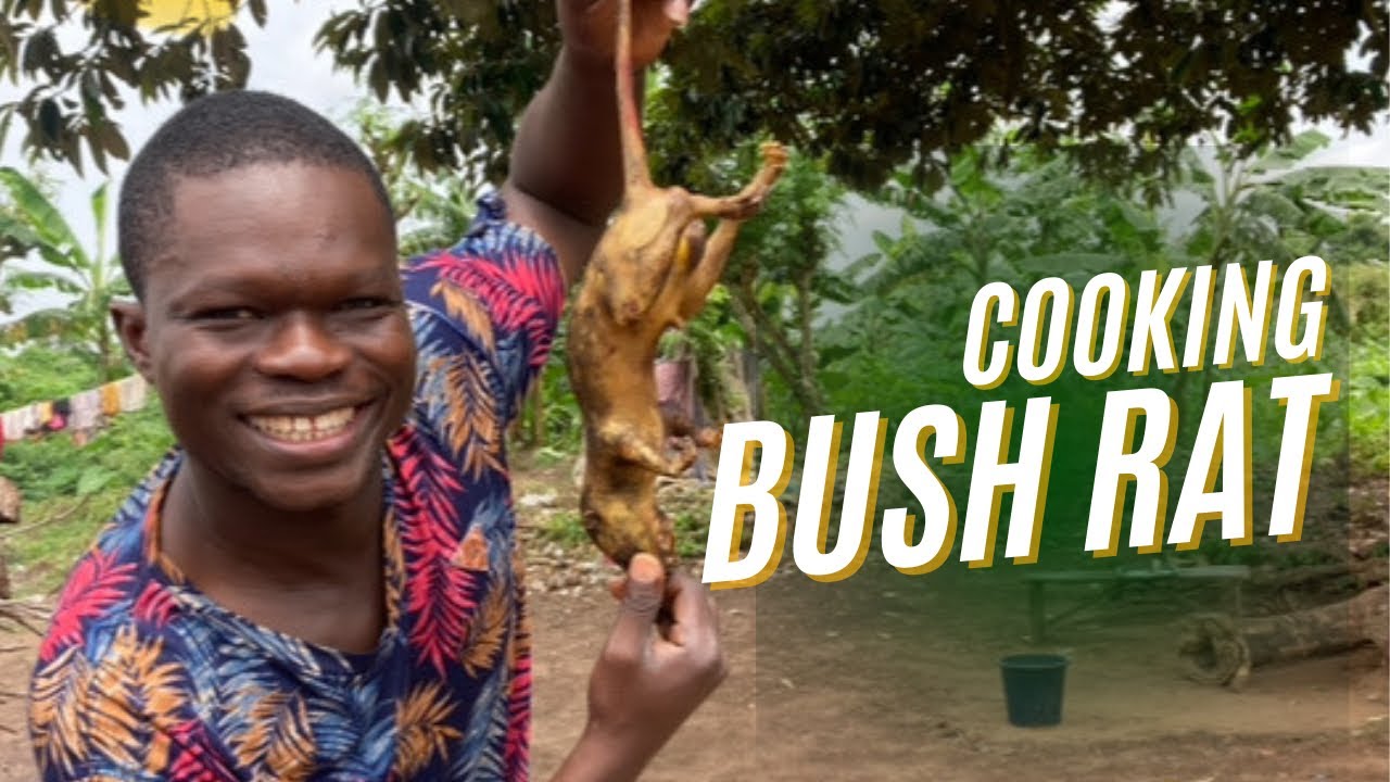 Survival Cooking in Africa: How to Prepare Bush Rat - YouTube