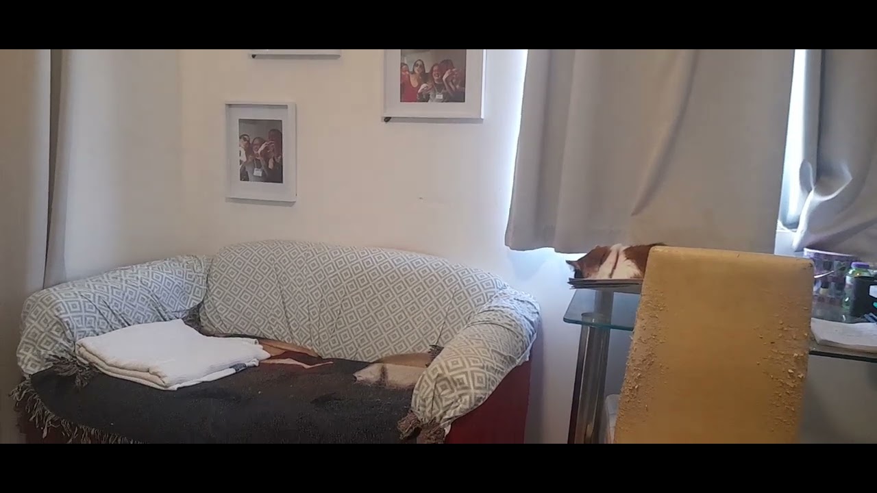 31-3-23 Afternoon nap on the table - YouTube