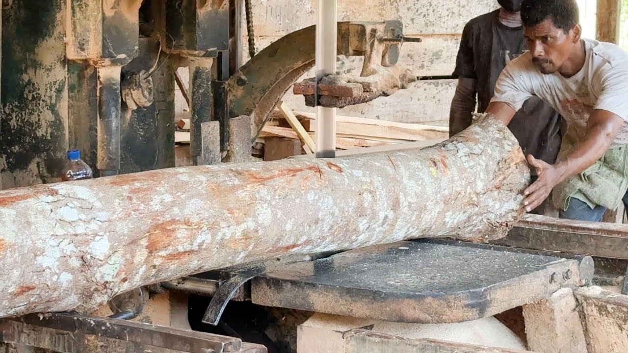 Choosing the Right Wood Saw The Ultimate Guide for Woodworkers! - YouTube