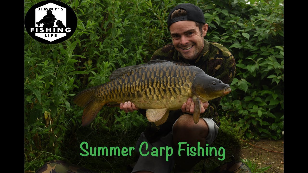 Summer Carp Fishing - YouTube