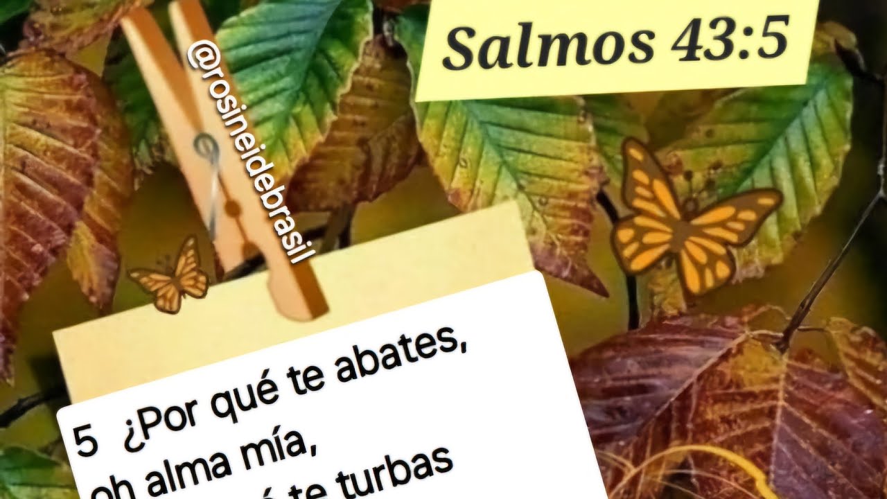 Salmos 43:5_(@rosineidebrasil ) - YouTube