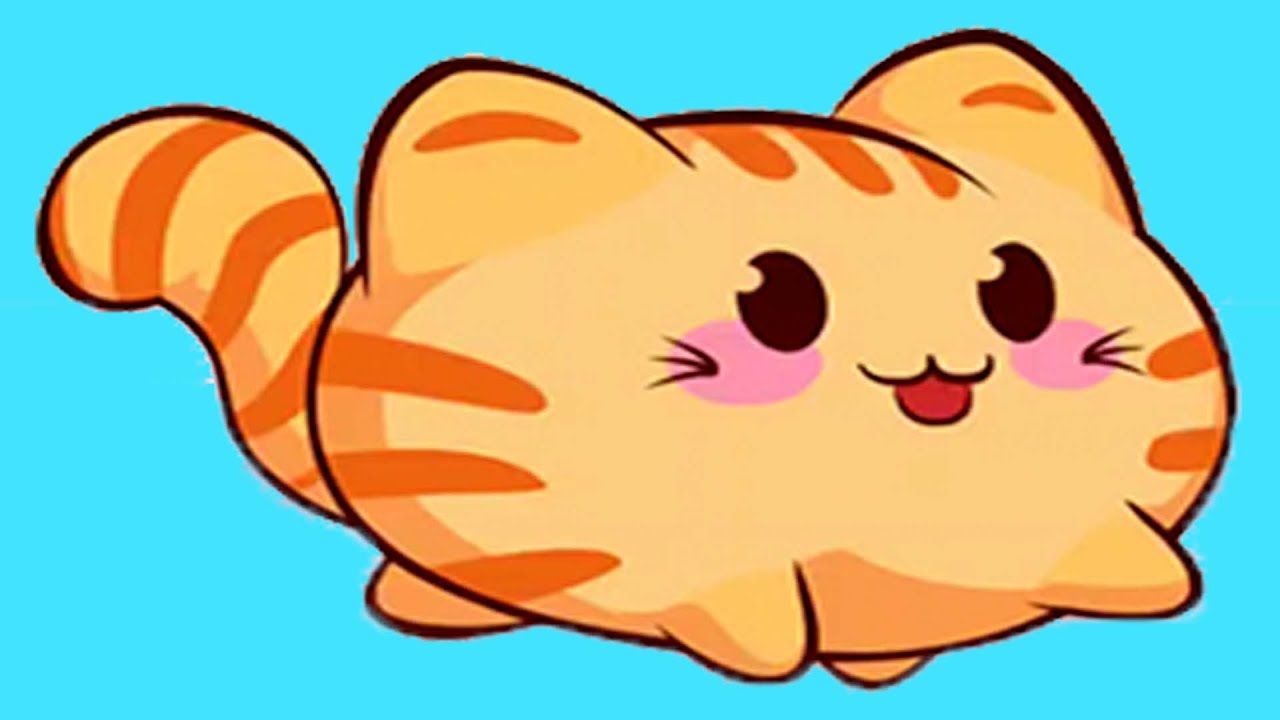 Bouncing Cats Cute Cat Music - all SONGS, CATS and FOODS - YouTube