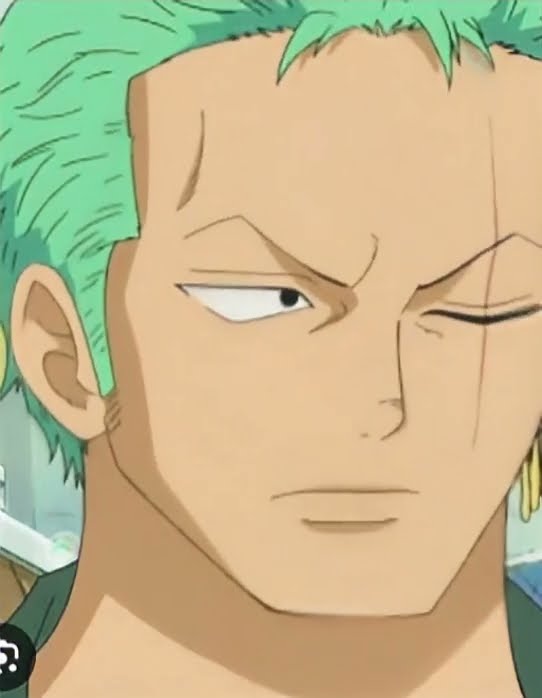 Zoro singing lol🤣 - YouTube