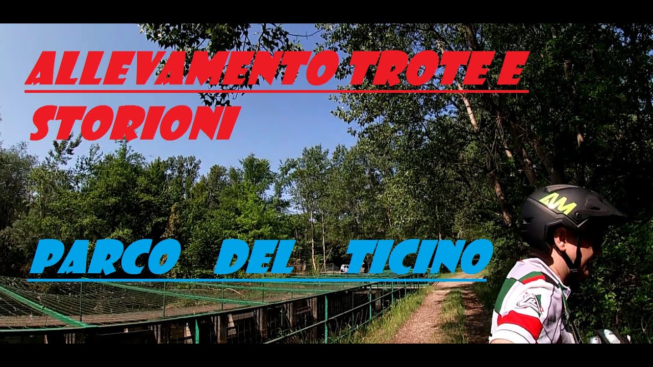 MTB PARCO DEL TICINO - L'isola Mandelli a Cassolnovo - YouTube