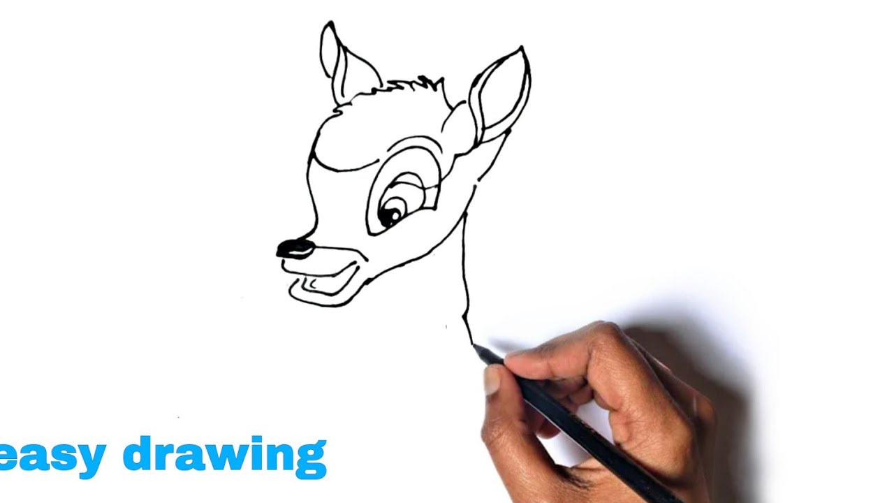 How to draw a deer lll easy deer drawing step by step llll R art - YouTube