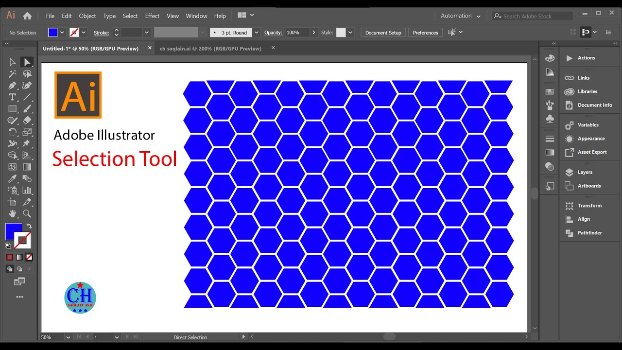 Selection Tool ll Adobe illustrator - YouTube