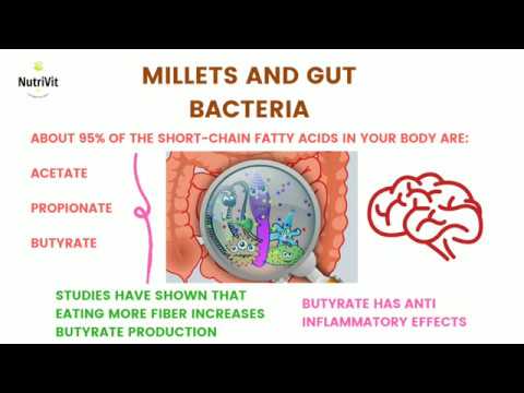 MILLETS BENEFITS AND THEIR ROLE IN GUT BACTERIA - YouTube