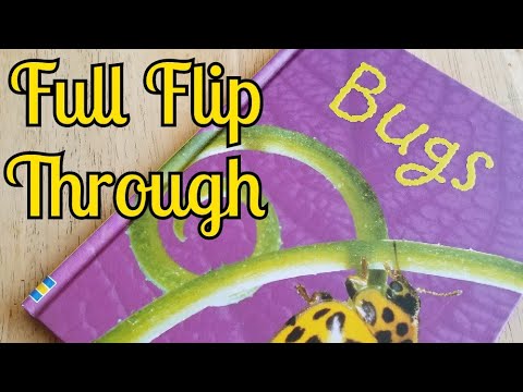 Bugs - Usborne Beginners Nonfiction (Flip Through) - YouTube
