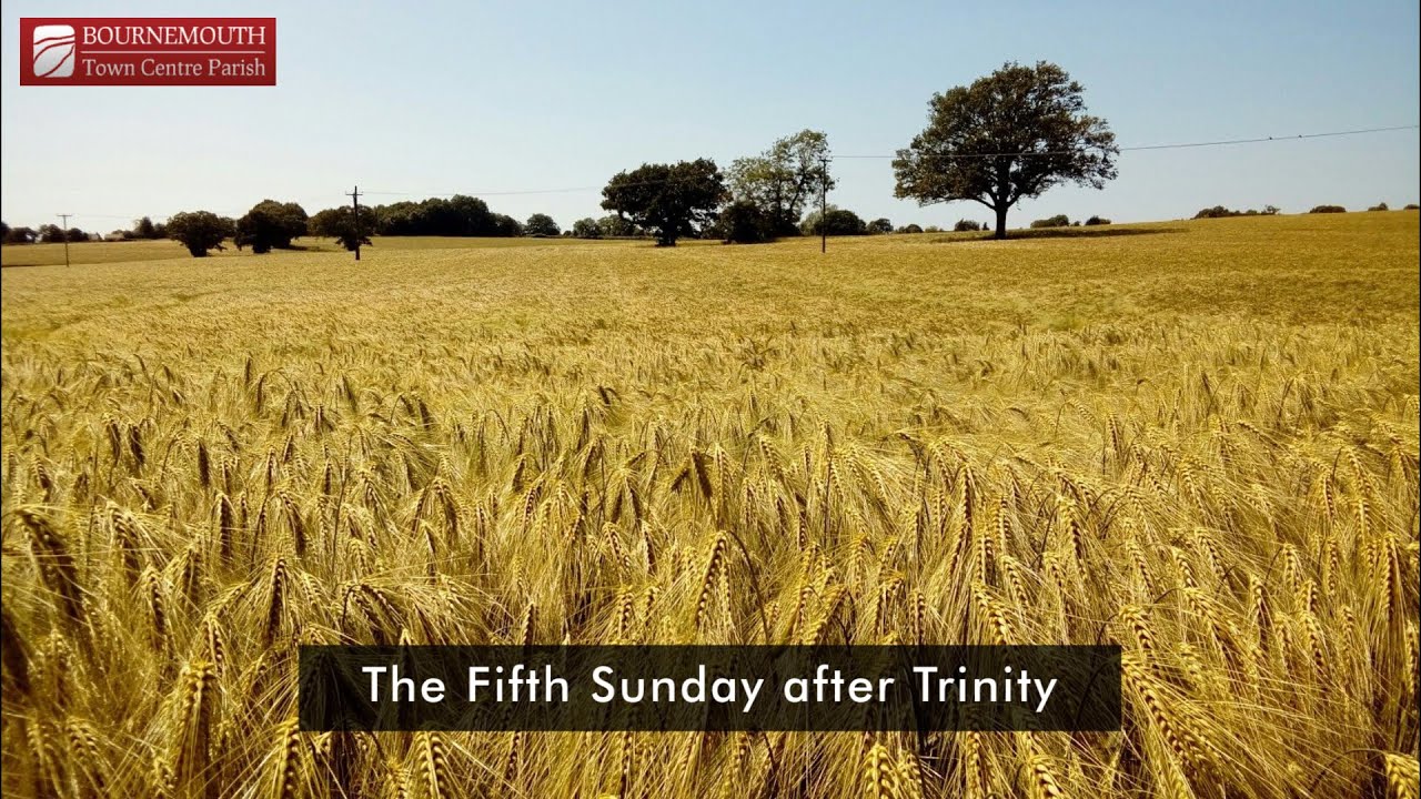 Service on the Fifth Sunday after Trinity - YouTube