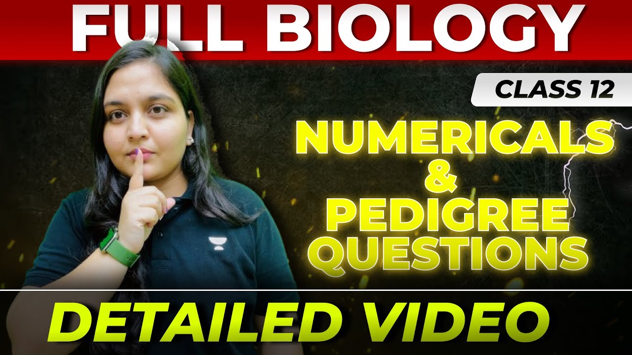 CBSE Class 12th Biology 2024 | Full Biology Numerical & Pedigree ...