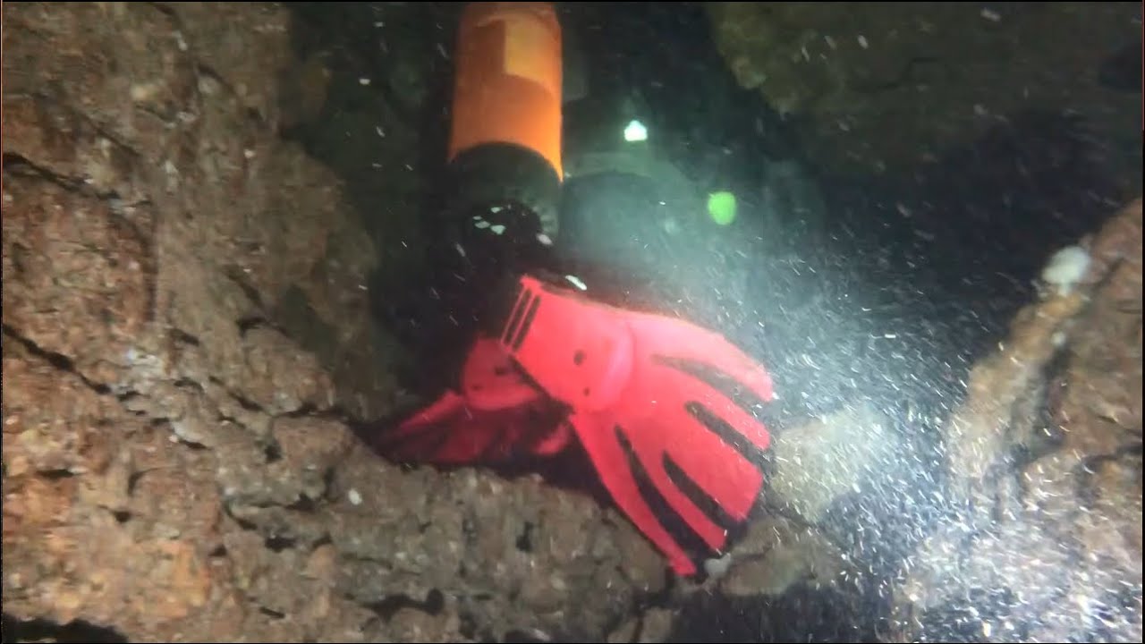 SCUBA DIVING ADVENTURES: Point Peron Western Australia - Underwater ...