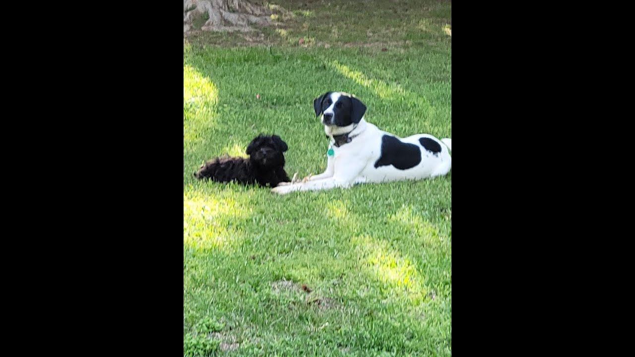 2 box hunt and we are sold out. Small auction to follow. - YouTube