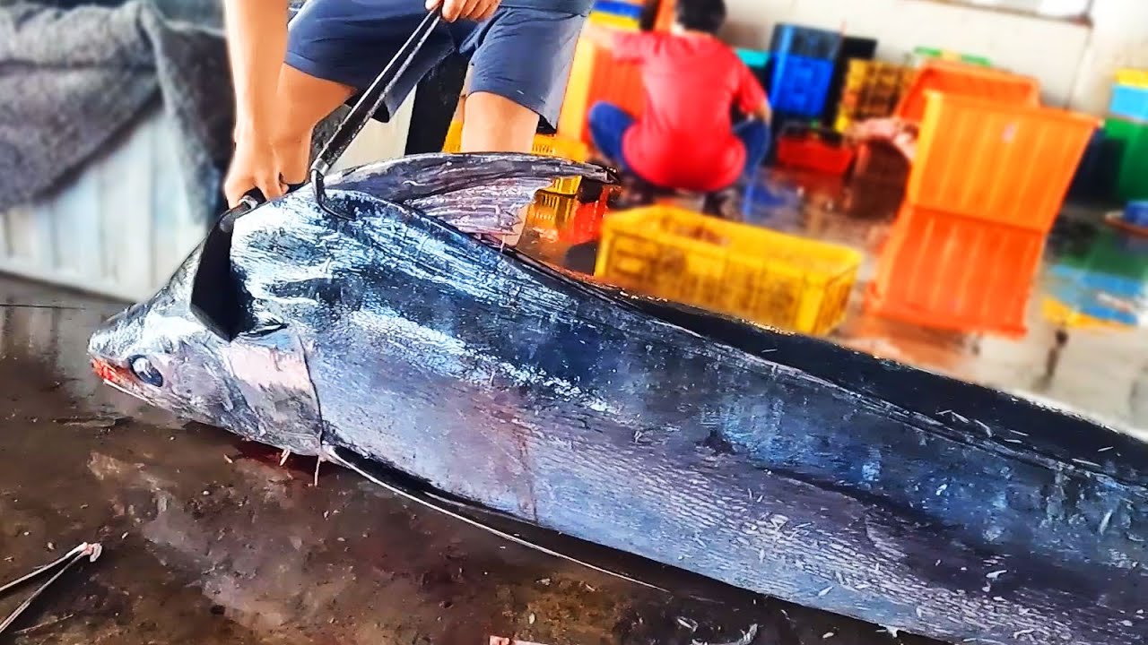 Monster Black Marlin Cutting Master - YouTube