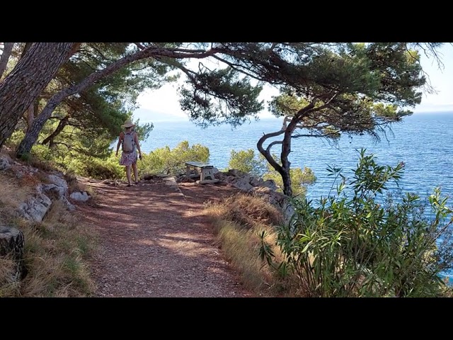 Samsung Galaxy A52 5G 1080@60fps video test sample