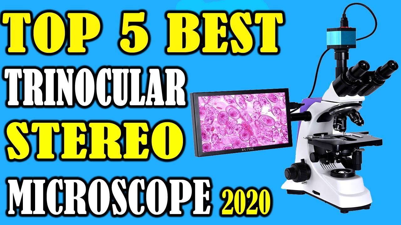 Top 5 Best Microscope In 2020 | Best Trinocular Stereo Microscope ...
