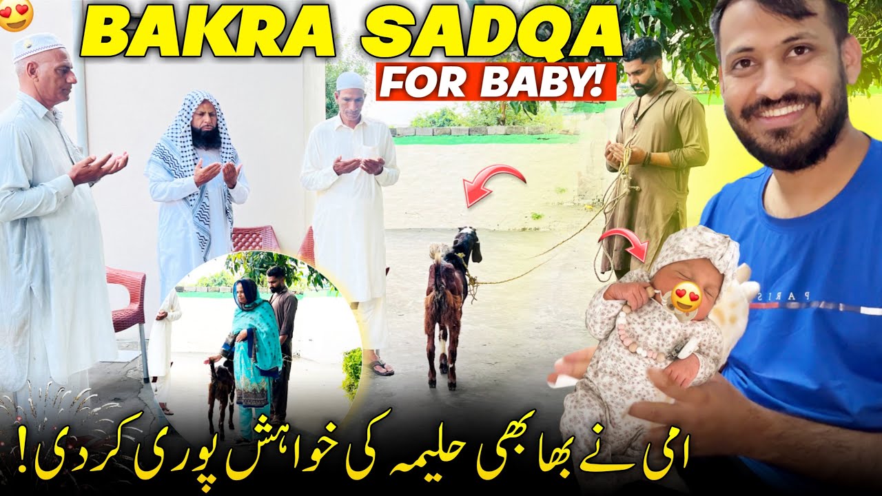 Gave Bakra Sadqa For Idrees Azam Baby🐐Ami Nay Bhabi Haleema Ki ...