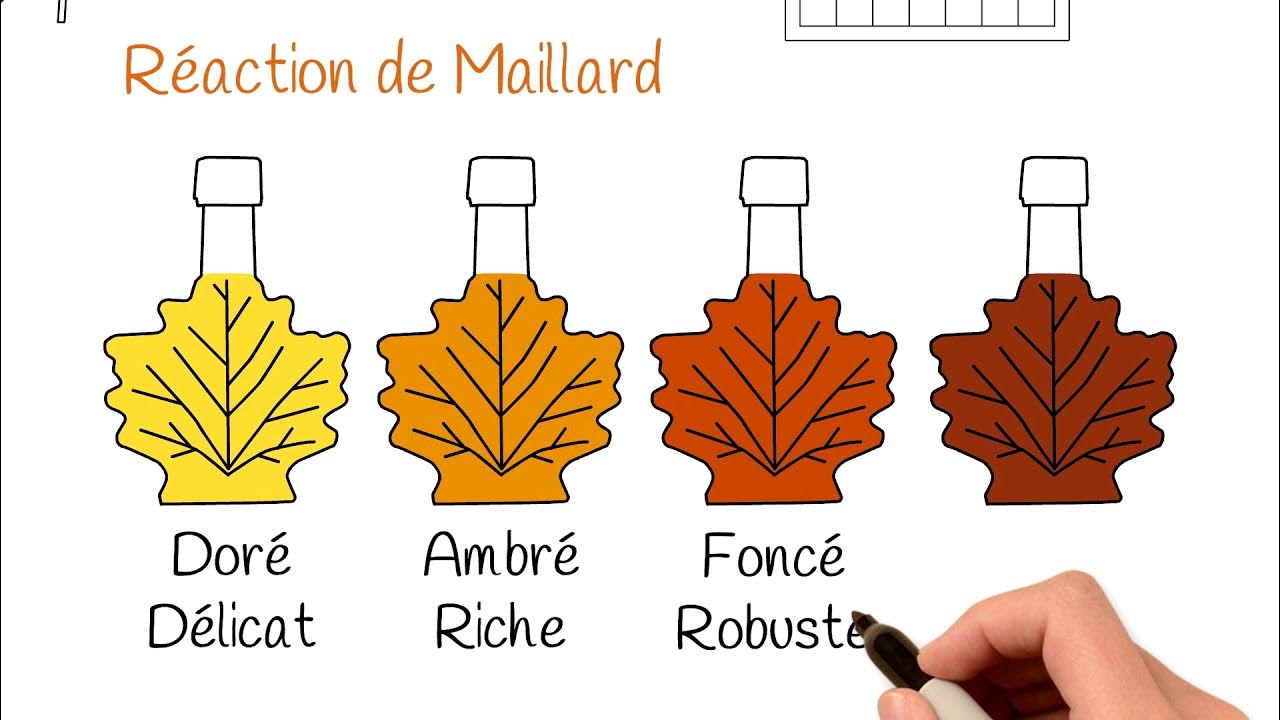 La production du sirop d'érable - YouTube