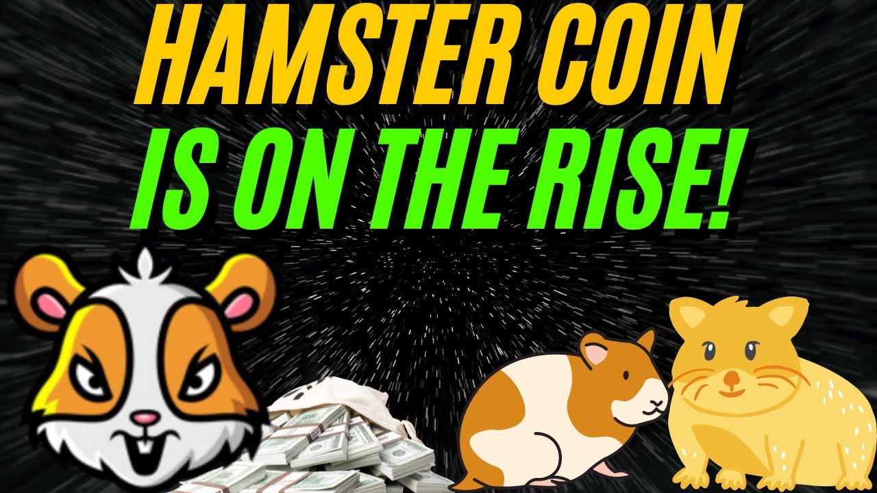 HAMSTER COIN IS PUMPING HUGE! THE NEXT 100X ALTCOIN? HAMSTER COIN ...
