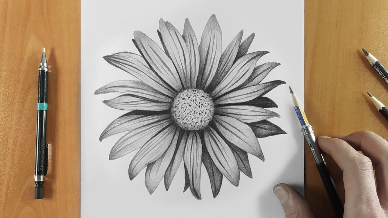 How to draw a beautiful flower with a pencil -Simple and easy ️ - YouTube