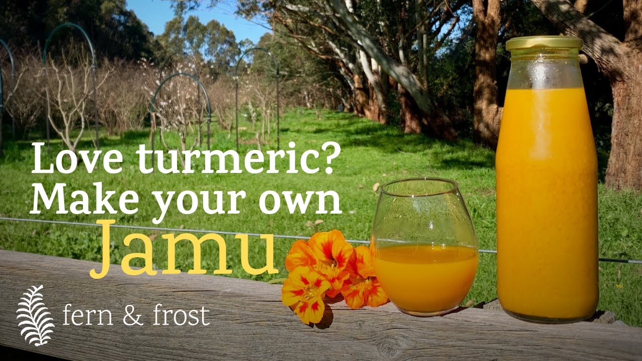 Make your own #Jamu Turmeric Tonic - Boost your immunity with turmeric ...