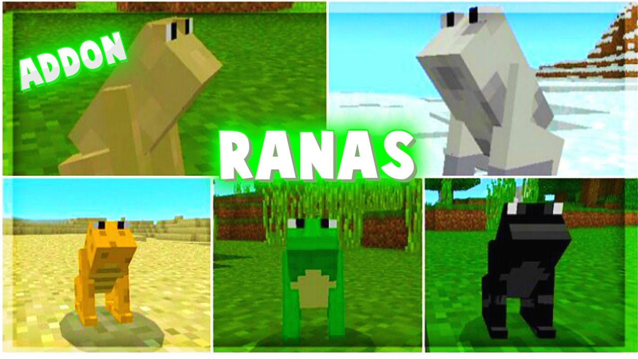 Ranas En Minecraft Pe•Addon Para Minecraft Pe 1.0.5• - YouTube