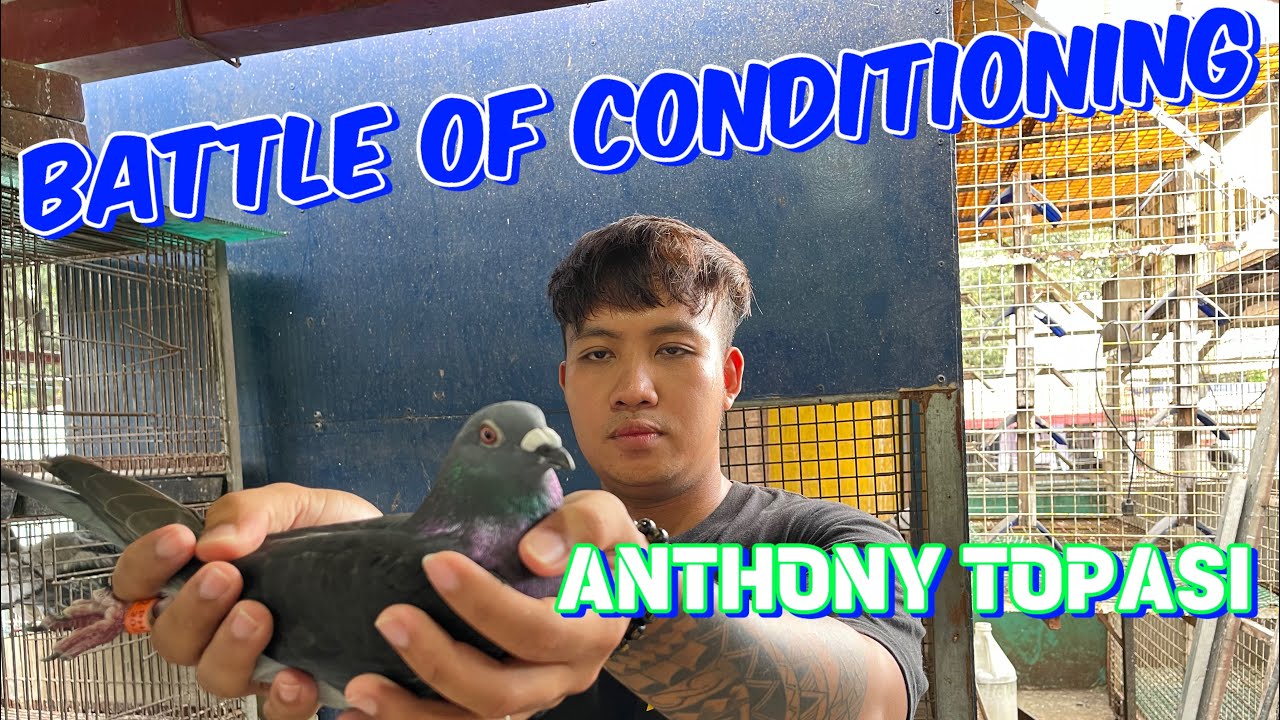 KALAPATING MAY BALELENG MAG AANAK PALA NG MADAMING WINNERS! “ANTHONY ...