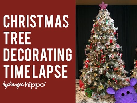 Time Lapse Christmas Tree Decorating - YouTube
