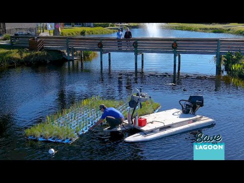 Lagoon Loyal Community Garden Melbourne - YouTube