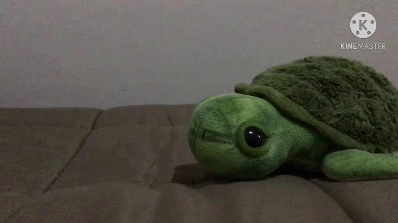 Thanksgiving special (ft. Shelly the Turtle) - YouTube