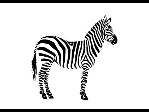 Step-by-Step Zebra Pencil Tutorial || Learn to Draw Zebra Stripes ...