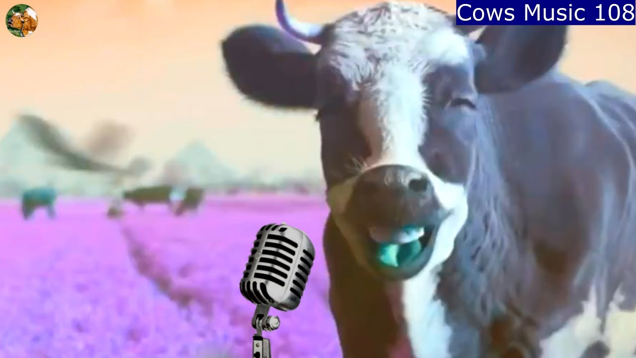 FUNNY COW DANCE 108 | COW SONG WITH FUNNY COWS | FUNNY COW - YouTube