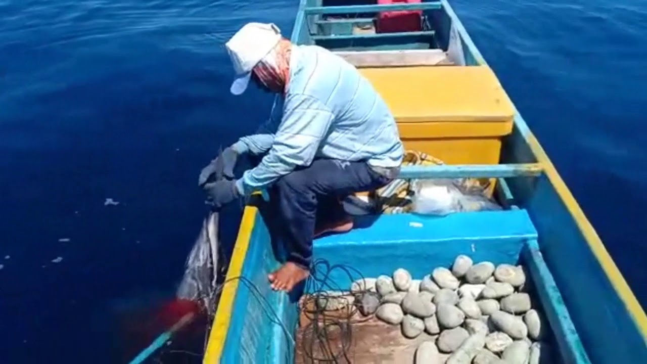 Macing ikan Marlin biru, Di Pulau buru. - YouTube