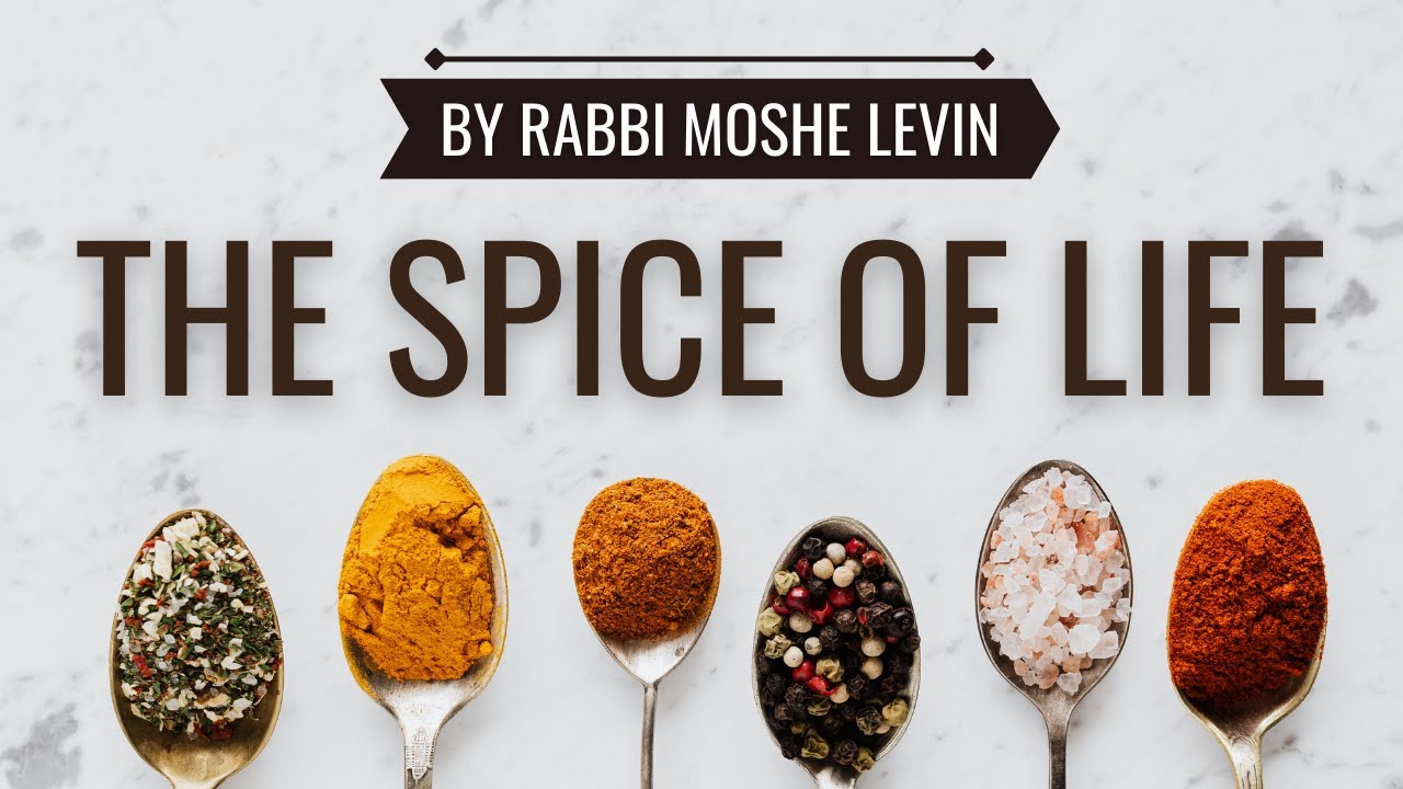 The Spice of Life - YouTube