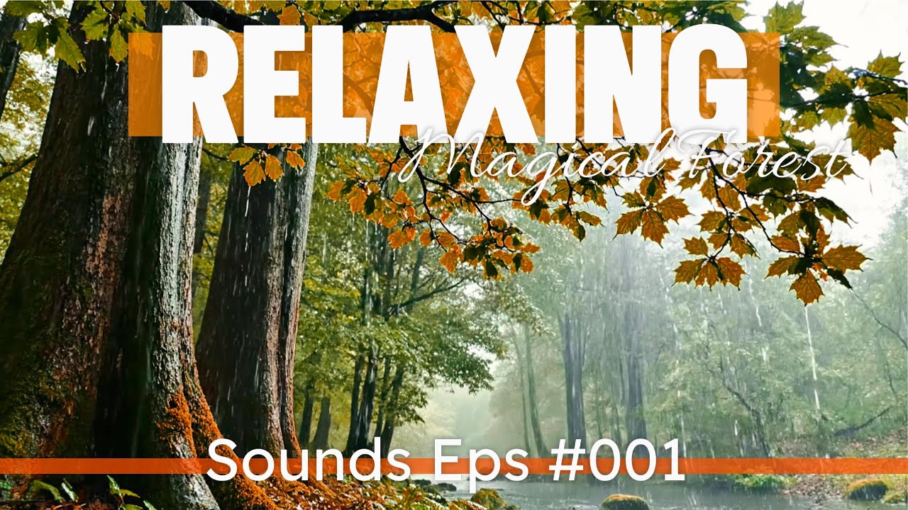 🌧️ Relaxing Rain in a Magical Forest Nature Sounds for Deep Calm - YouTube
