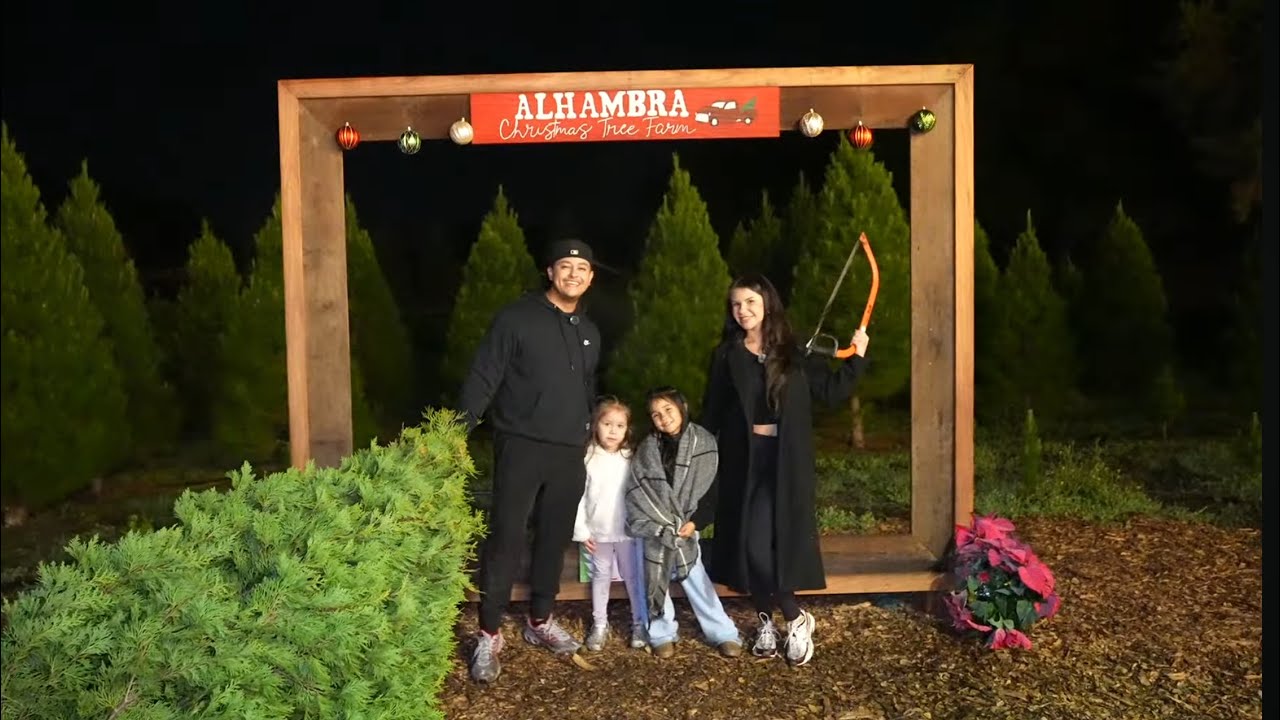 IRL STREAM CHRISTMAS TREE SHOPPING - YouTube