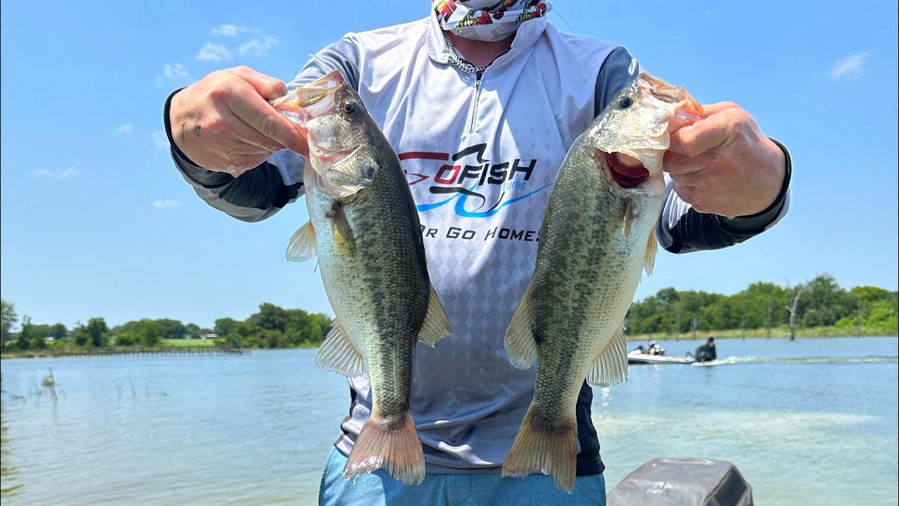 June’s 6 Sack from 6th Sense another great deal! - YouTube