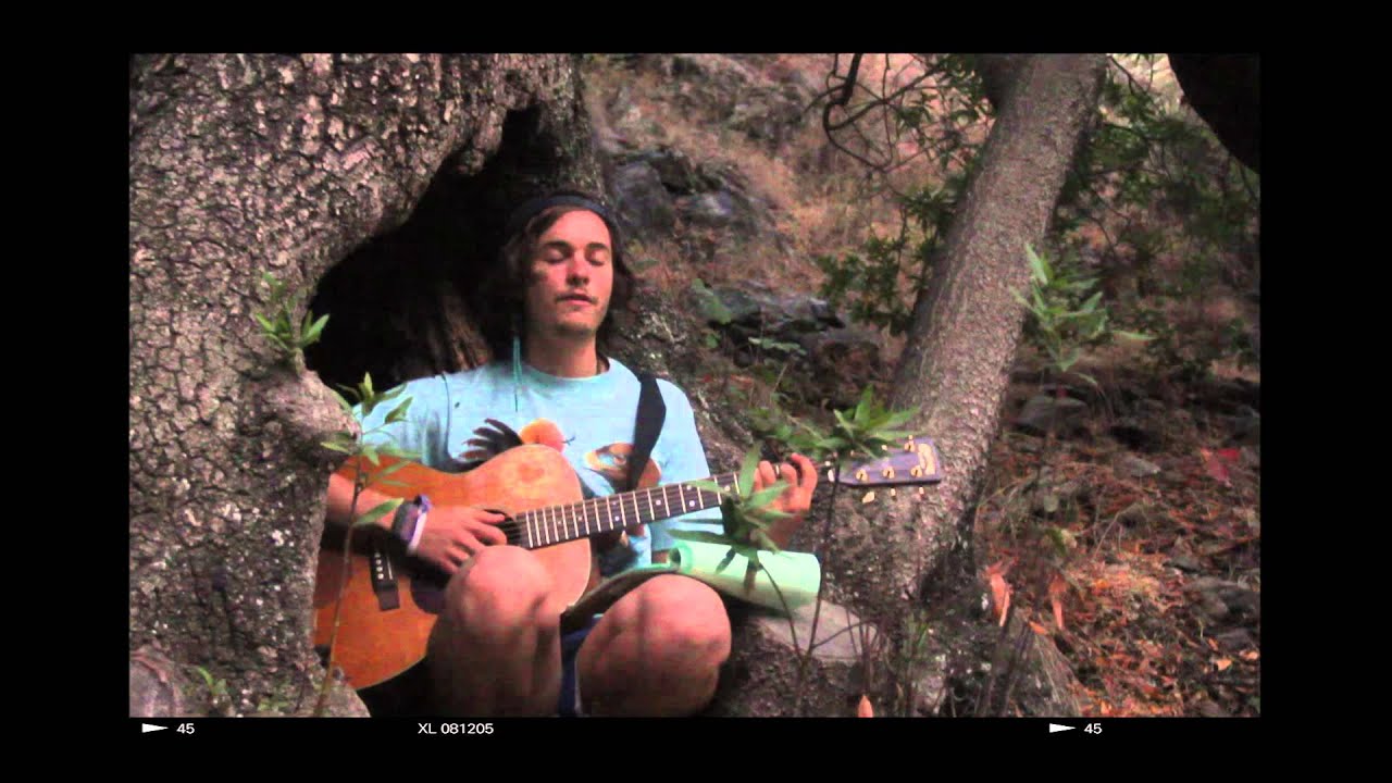 Bloom: Burst into LIfe - YouTube